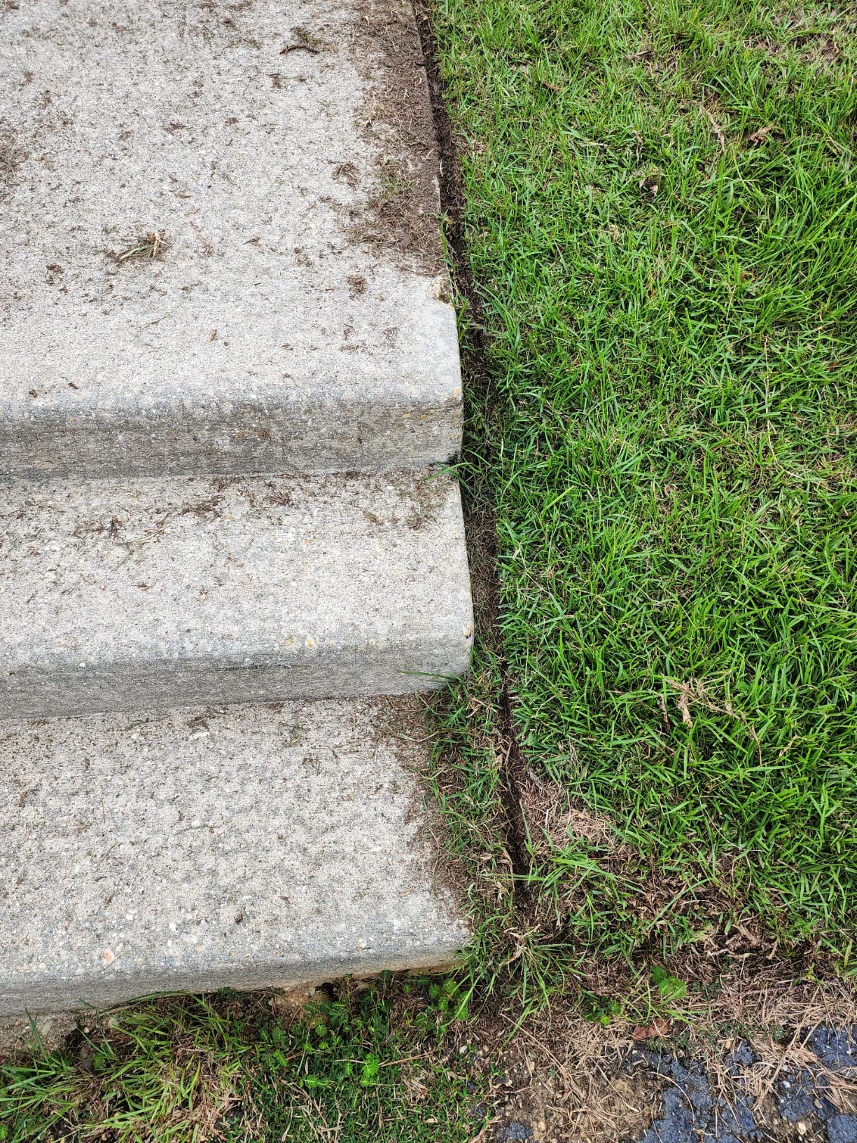 12 Best Lawn Edgers (June 2026) Complete Buying Guide
