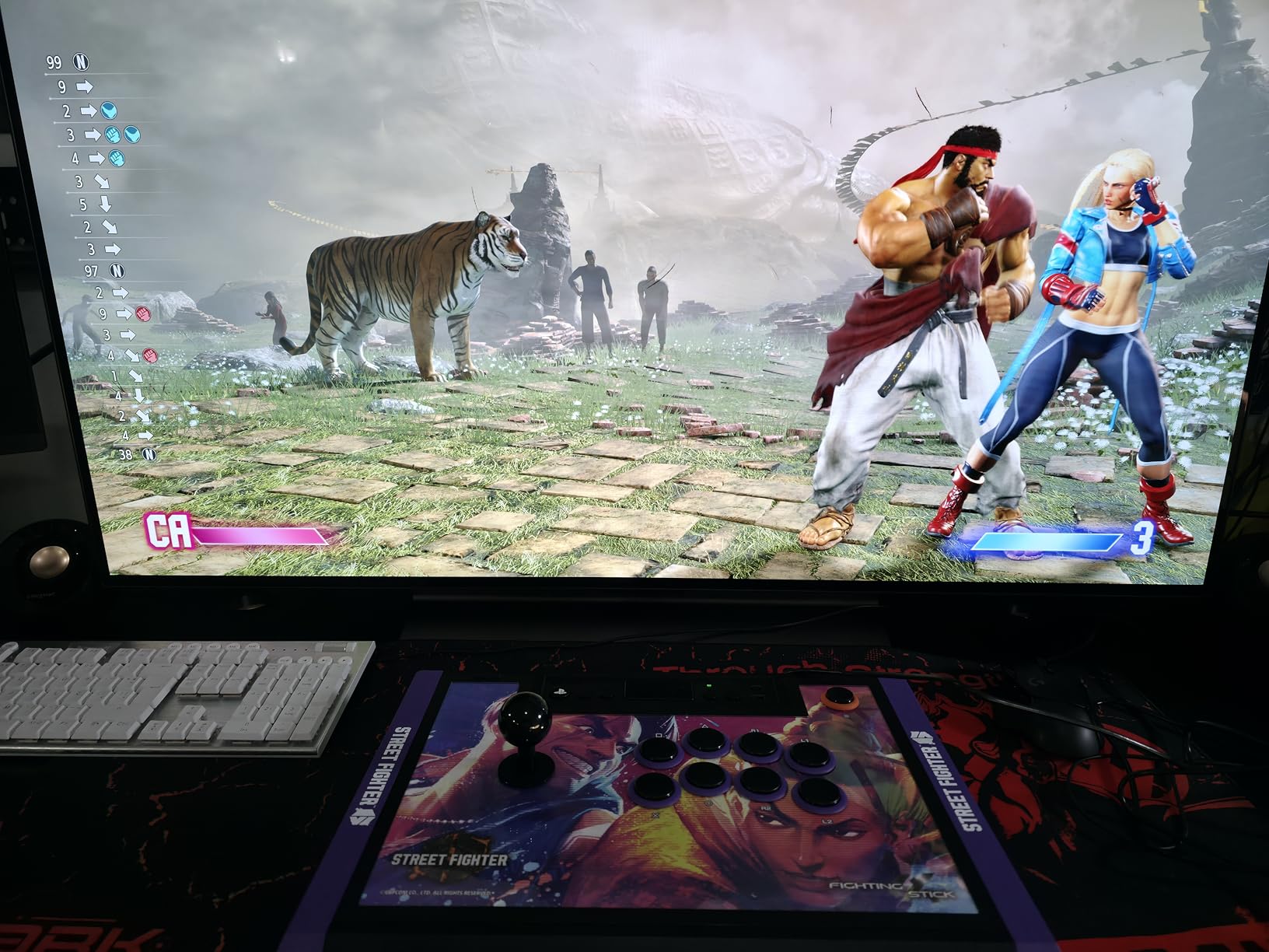 8 Best Two-Player Arcade Sticks for Fighting Game Couples (March 2026)
