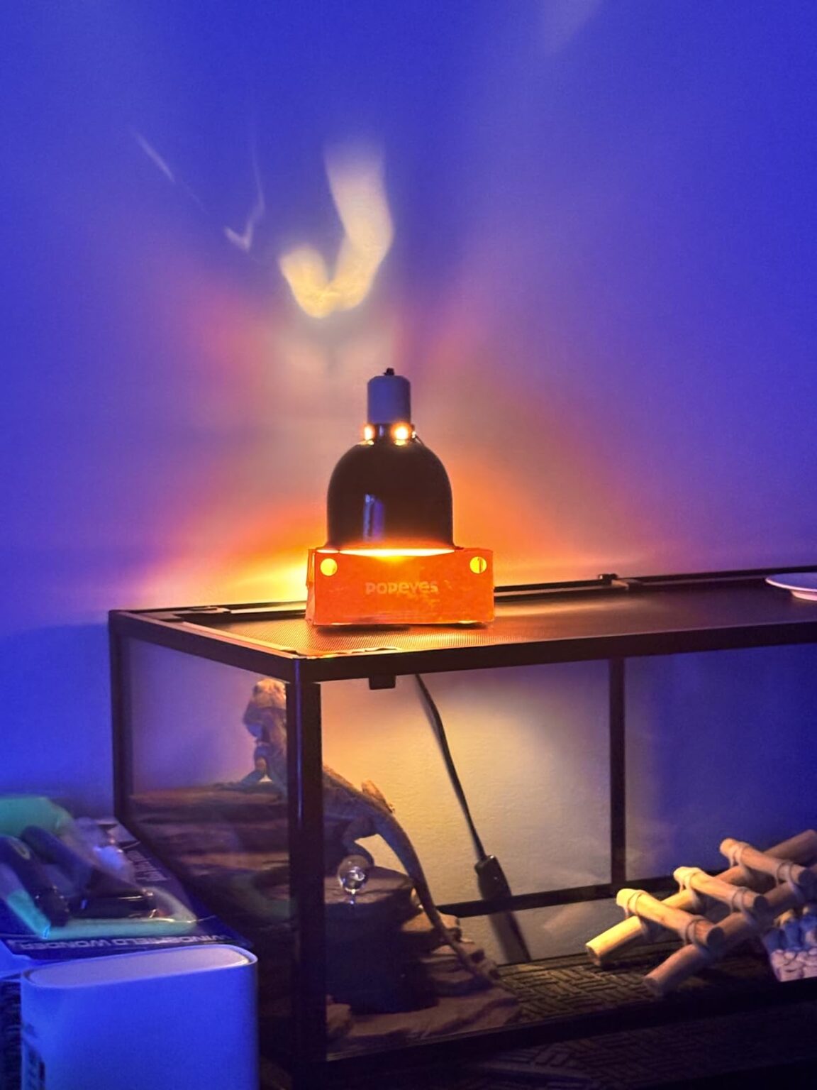 14 Best Bioactive Vivarium Enclosures (July 2026) Expert Reviews